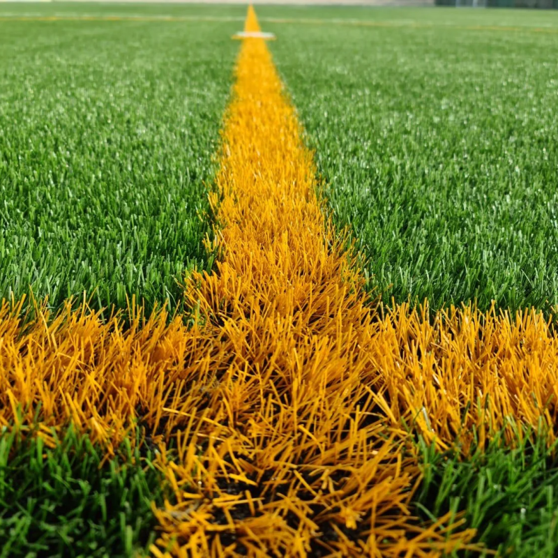 AgroGreen International